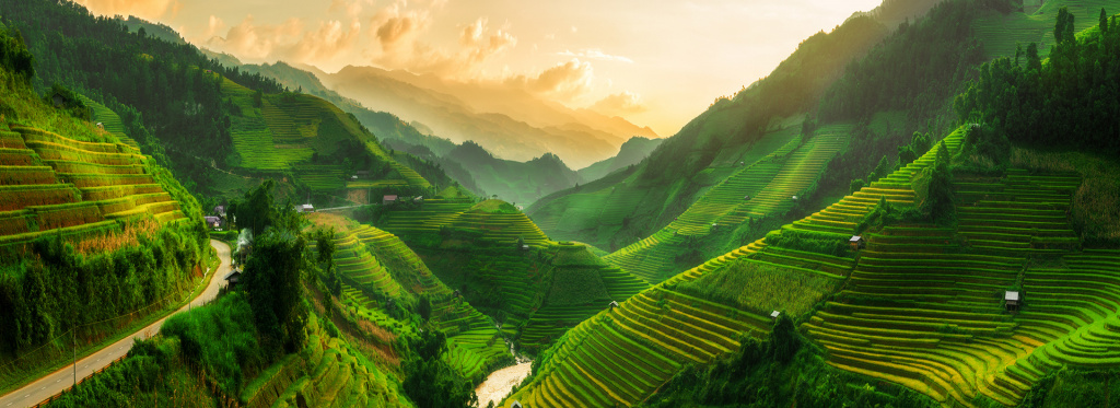 VANPIRE VIETNAM JOINT STOCK COMPANY